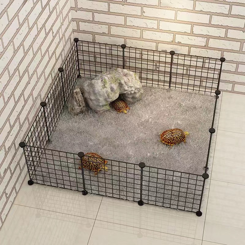 [Clear inventory]Pet Turtle Free-Range Fence Sulcata Tortoise Punch ...