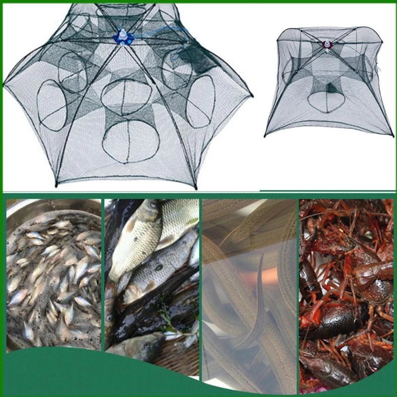 🔥READY STOCK🔥4/8 Hole Automatic Portable Fishing Trap Net Shrimp Fish ...