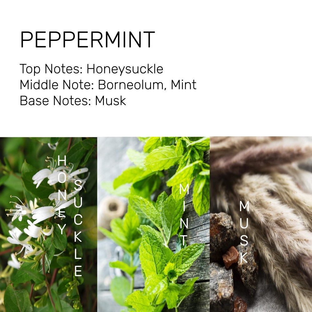 Peppermint - 50ml Candle/ Perfume Fragrance Oil | Shopee Malaysia