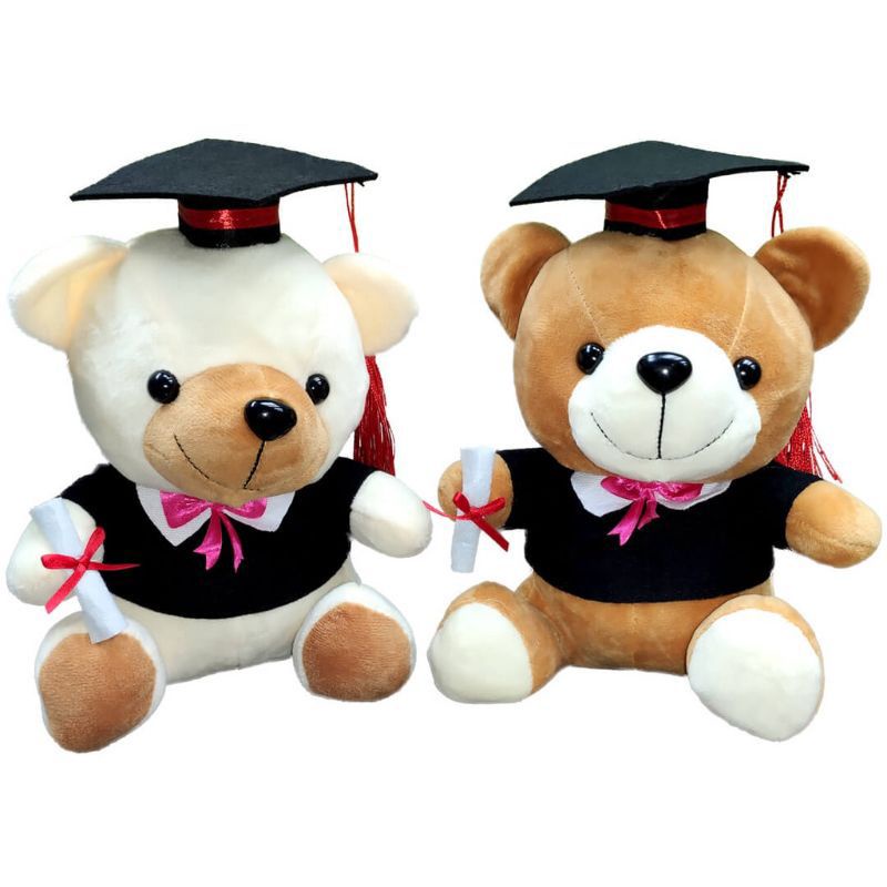 7 Inch Graduation Convo Bear With Ribbon Holding Certificate Soft Plush ...