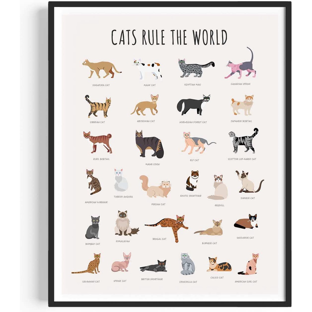 Cat Breed Wall Art Vintage Cats Knowledge Wall Decor Cute Kitty Poster ...