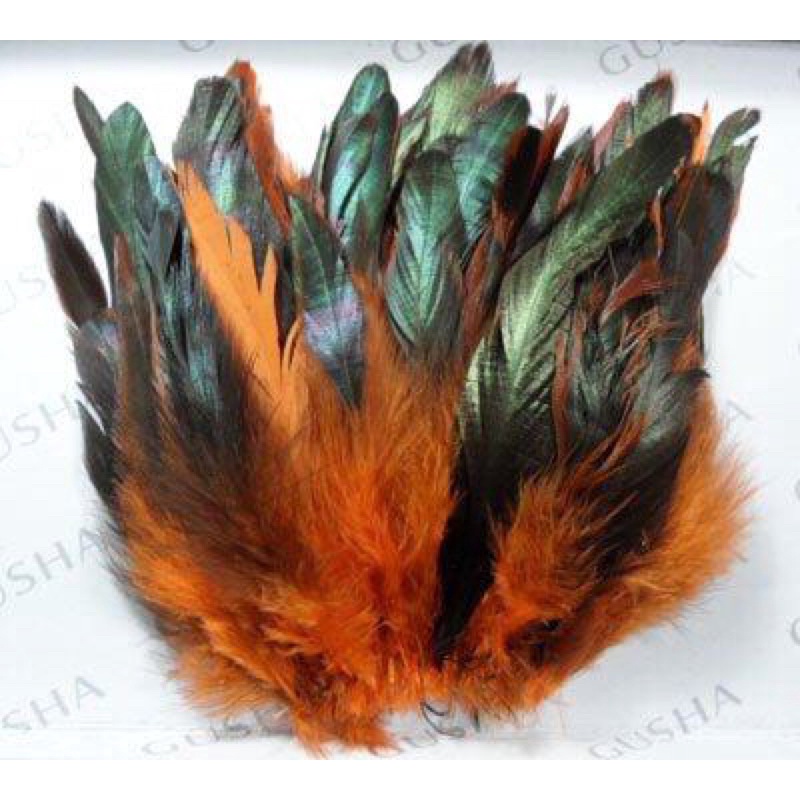 natural rooster feather (male) chicken bulu ayam jantan asli diy craft ...