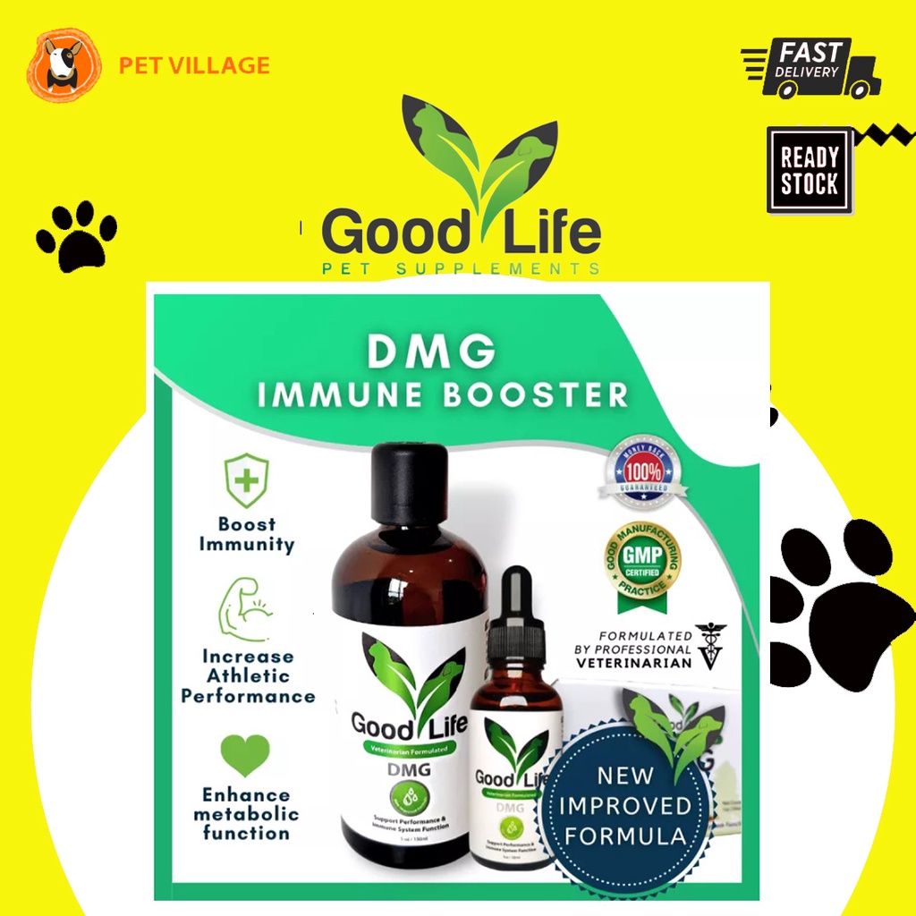GOODLIFE DMG Veterinarian Formulated Immune Booster For Cats & Dogs ...