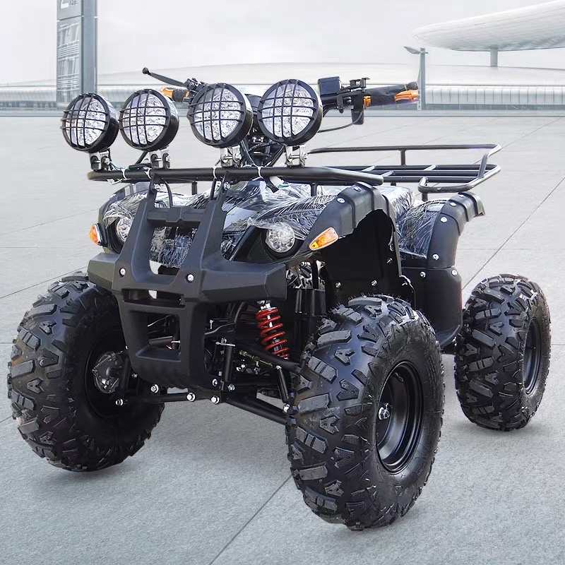 P 48V Electric Four-Wheel Off-Road/Beach Motorcycle ATV 8 / 6 Inch ...