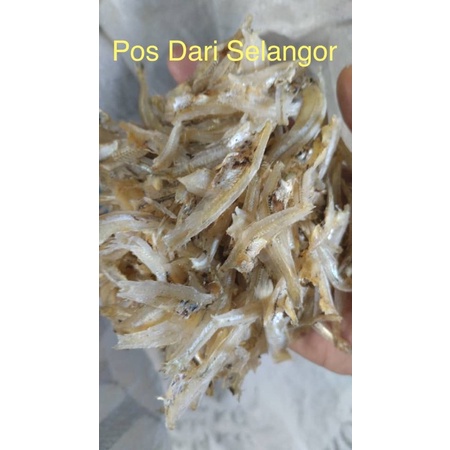 Ikan Bilis Kopek Gred AAA 1KG Bilis Sabah Berkualiti Bilis Murah Sabah ...