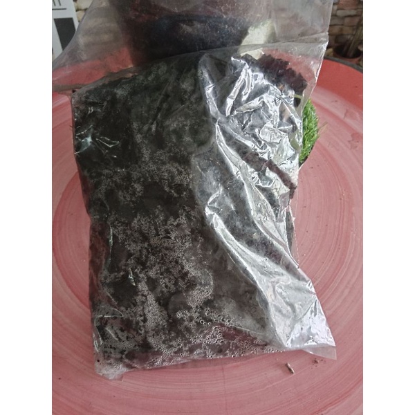 arang untuk pokok orkid | Shopee Malaysia