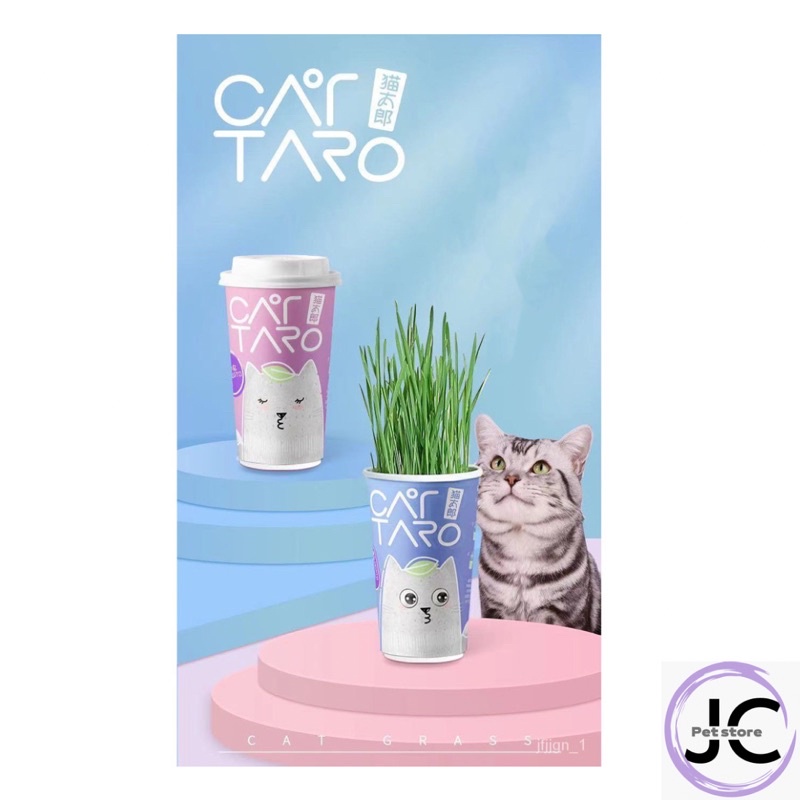Cat Taro Cat Grass Pet Grass Cup Self Grow Kit 85G | Shopee Malaysia