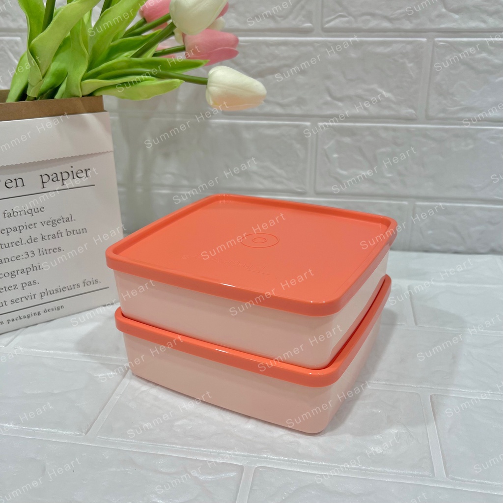 Tupperware Large Square Away 620ml (1pc/2pcs) | Shopee Malaysia