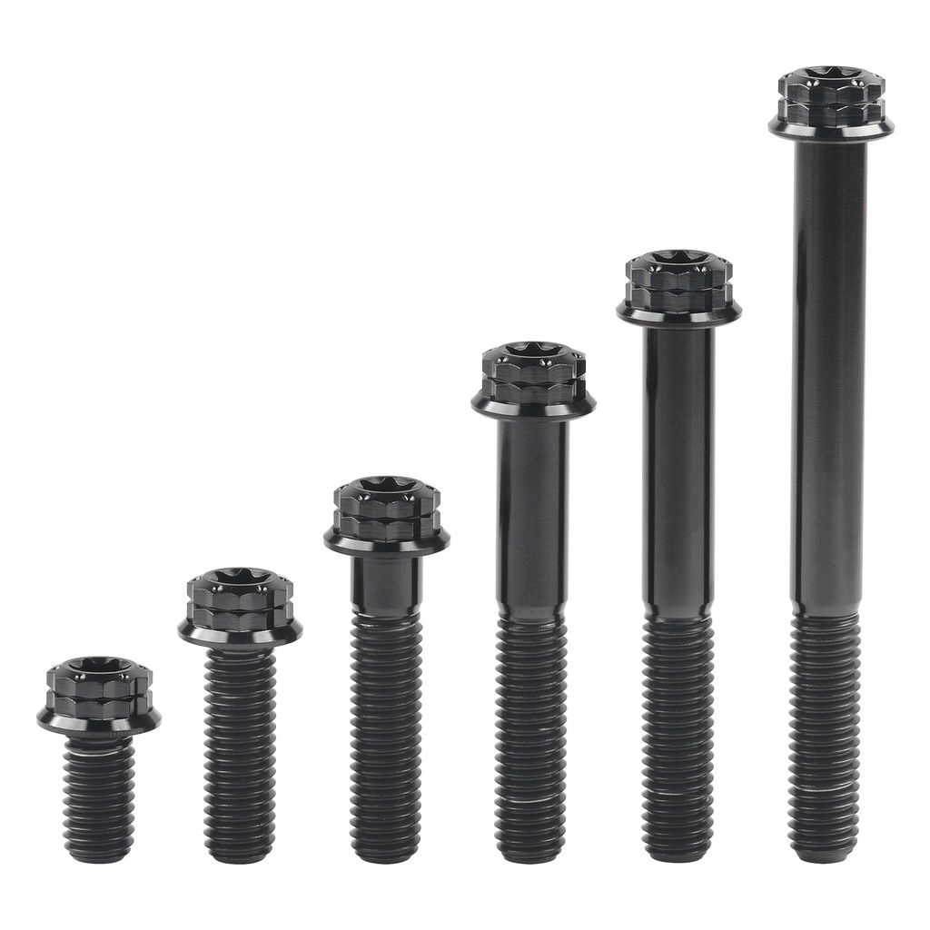 Wanyifa Titanium Bolt CNC 12Point Flange Plum Head Black Screw For ...