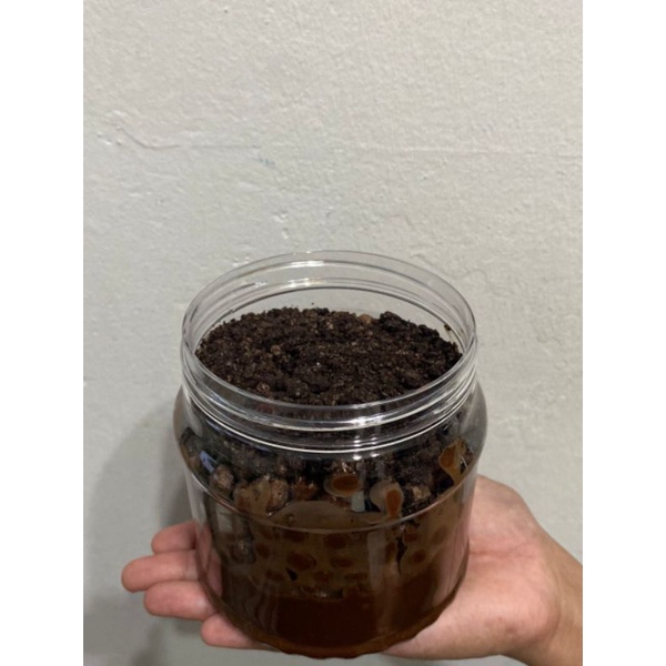 Faja's Mini Oreo Crunch Tub | Shopee Malaysia