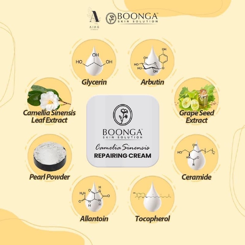 Aifaa BRC Booga Repairing Cream 5g | Shopee Malaysia