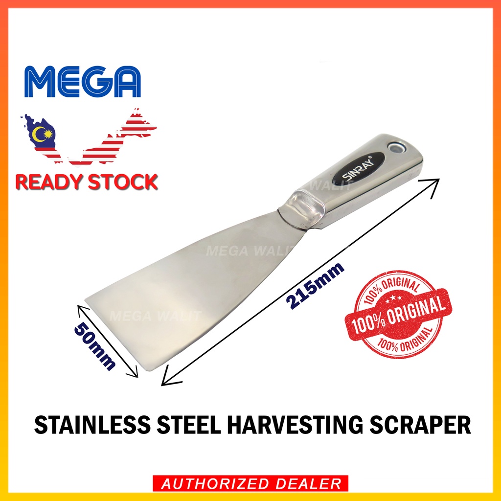 Sinray Stainless Steel Bird Nest Harvesting Scraper (Reflective Mirror ...