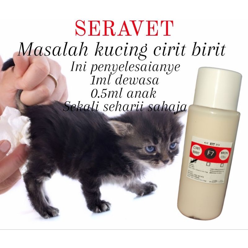 🎁UBAT CIRIT BIRIT KUCING | Shopee Malaysia