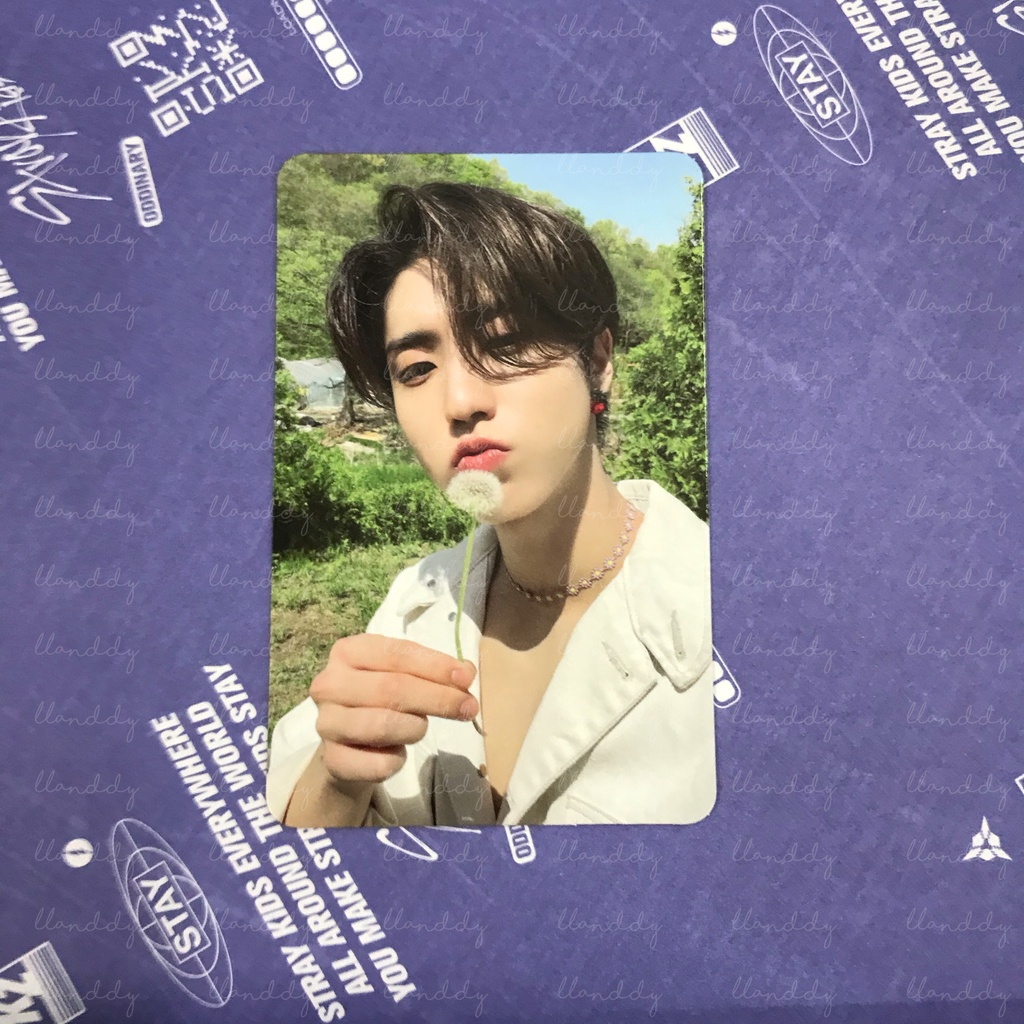 MAXIDENT Han Stray Kids Photocard SKZ Card Flower | Shopee Malaysia