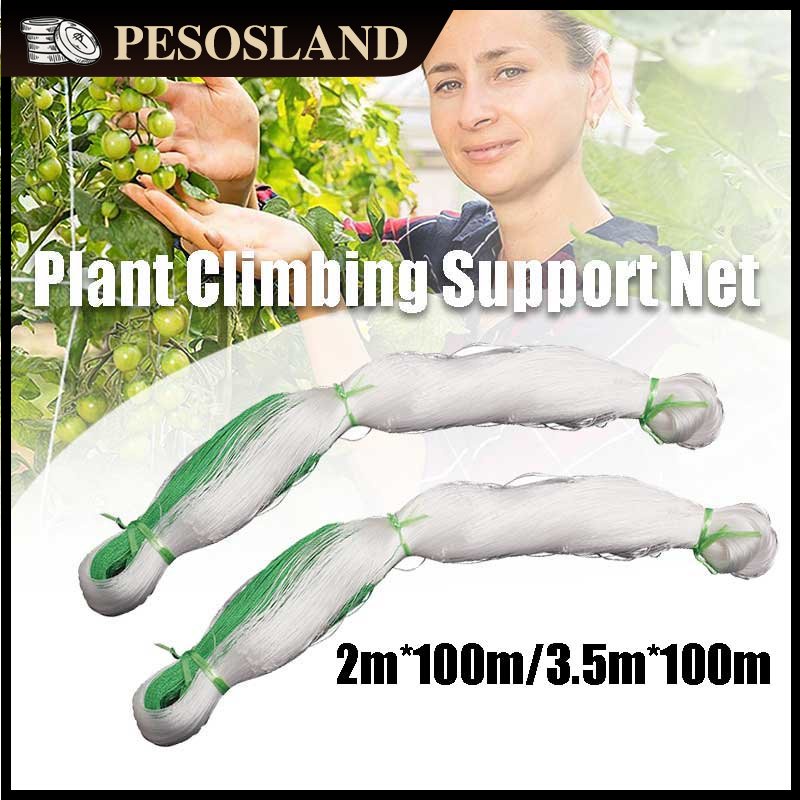 Garden Plant Support Net Trellising Net Plant Climbing Net (2*100m 3.5 ...