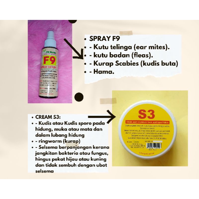 KUCING KUTU/ earmite/ hama/ kurap scabies (kerak Tebal) | Shopee Malaysia