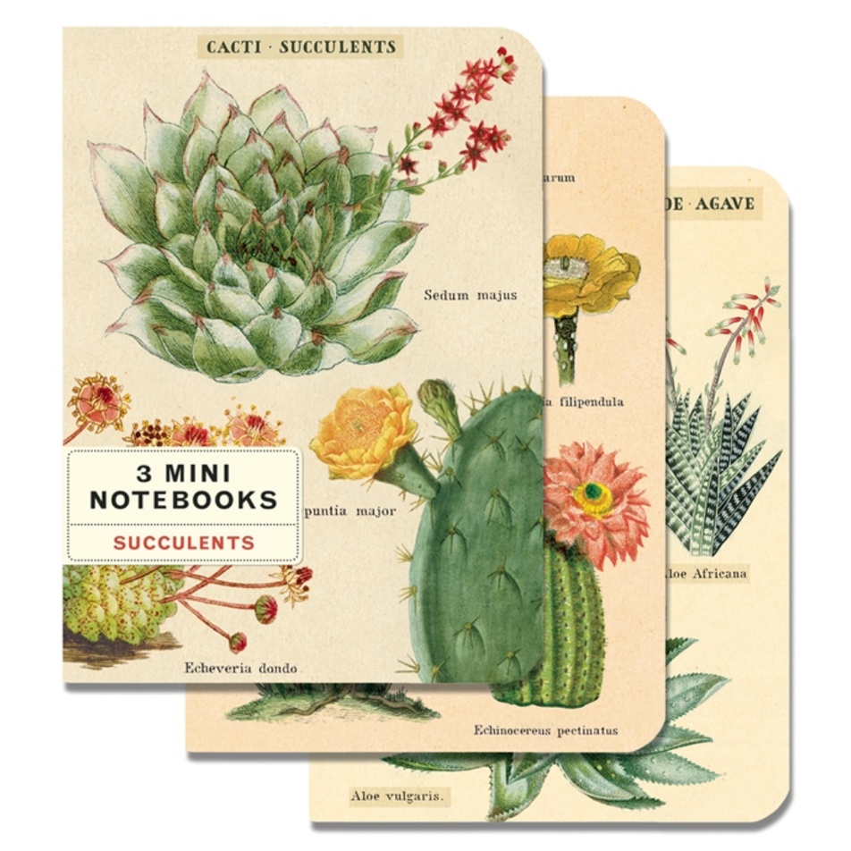 American Cavallini & Co. Replica Study Room Succulent Illustrated Book ...
