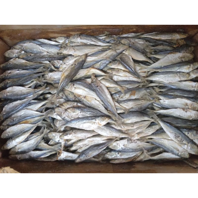 READY STOCK{IKAN MASIN SARDEN BASAH}ASLI DARI INDONESIA | Shopee Malaysia