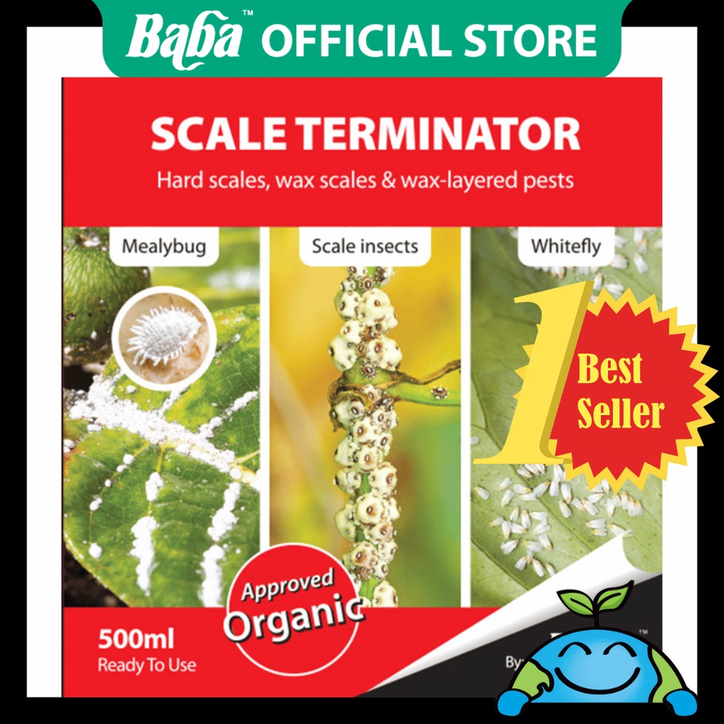 Baba Official Mr Ganick Organic Scale Terminator Scale Pesticide