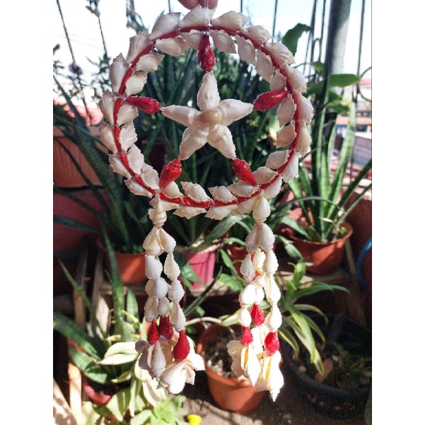 Star Parol/Christmas Lantern | Shopee Malaysia