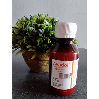 AVADOL SUSPENTION 250mg/5ML (ORANGE) | Shopee Malaysia