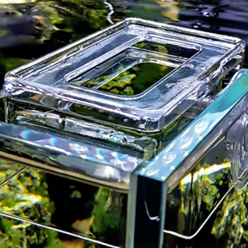 Aquarium Clear Fish Feeder with Suction Cup Transparent Acrylic Fish ...