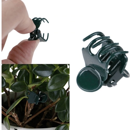 Avid Gardener Plant Clips/Stem Support Clips/Orchid Clips/Trellis Clips ...