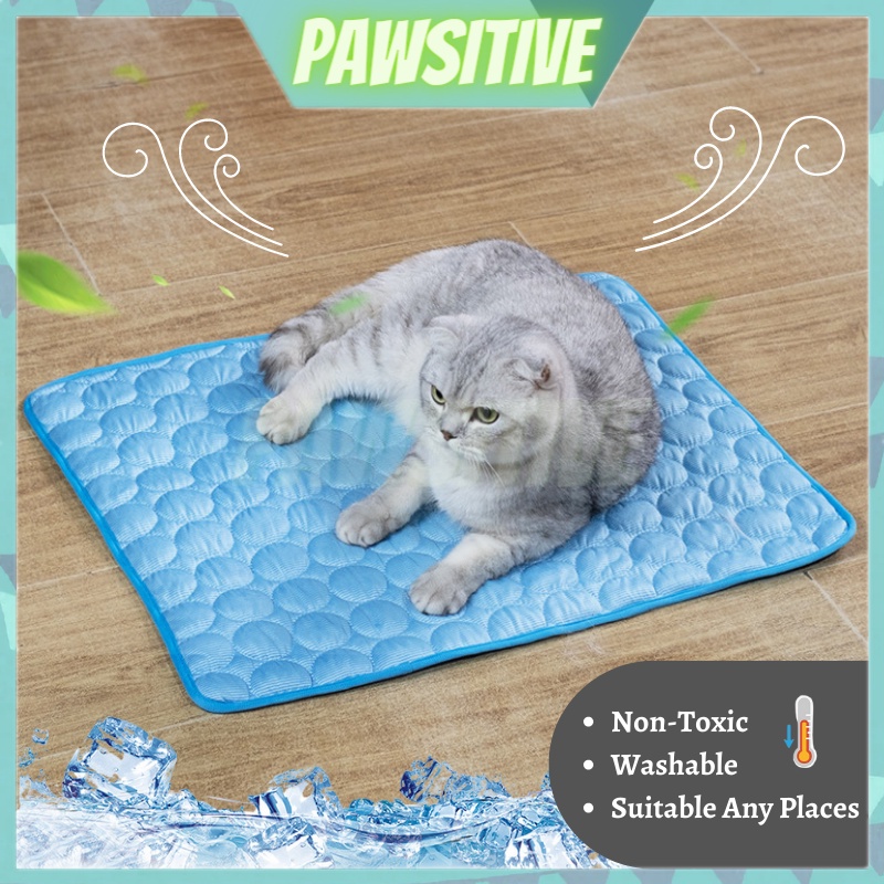 PAWSITIVE Cat Cooling Mat/Pet Cooling Mat/Cat Blanket/Cat Mat/Cat Bed/Tempat Tidur Kucing Murah ...