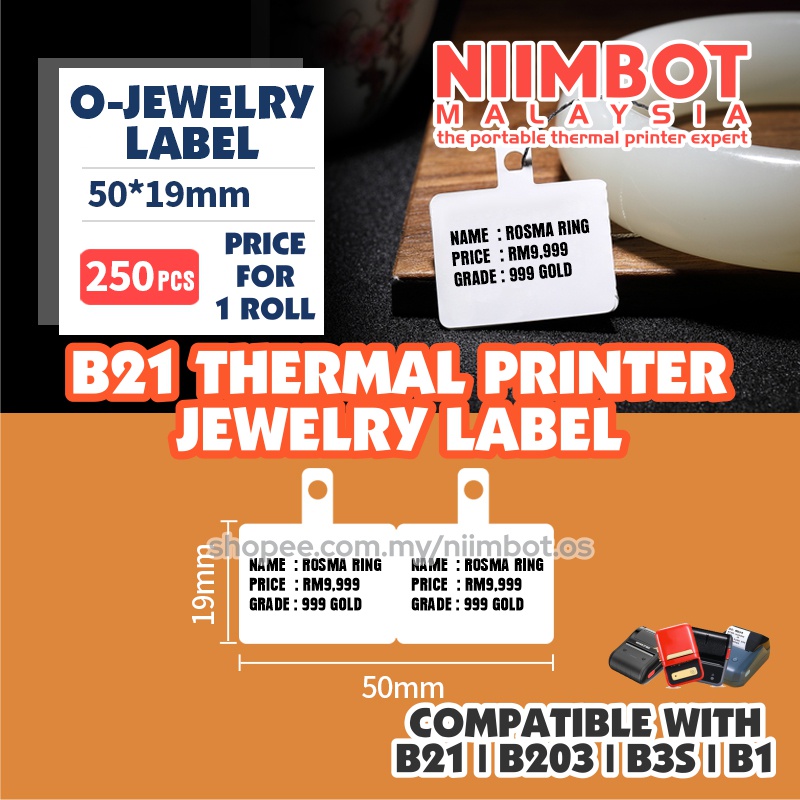 NIIMBOT B21 Portable Thermal Printer Bluetooth Label Printing Inkless ...