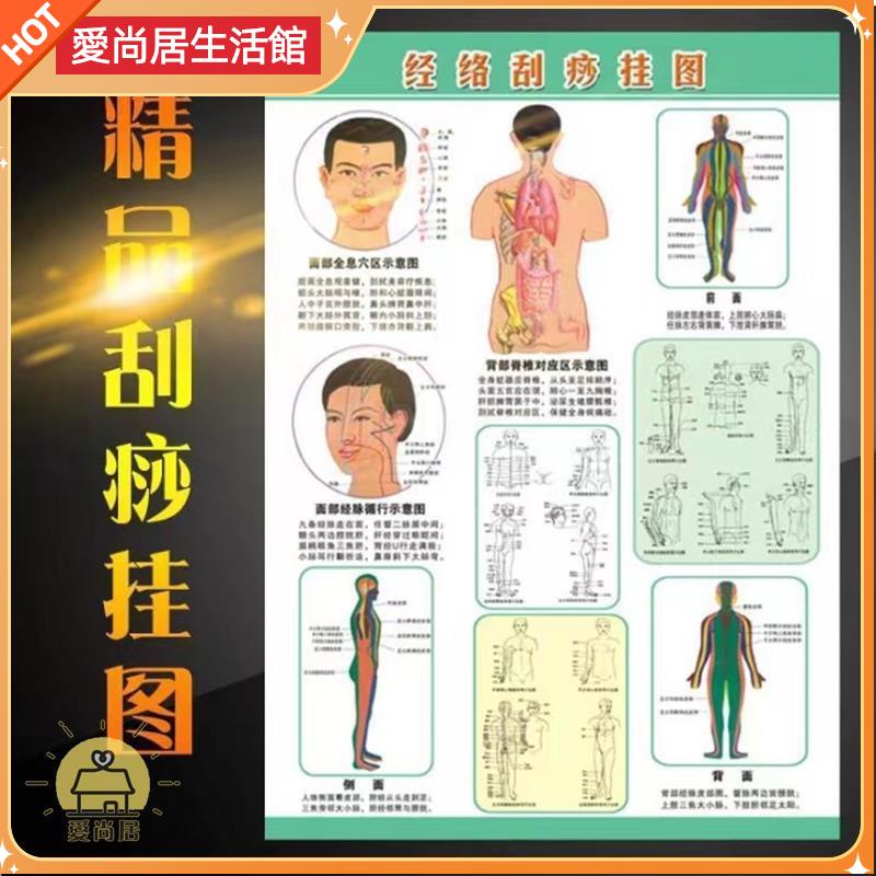 Facial Scraping Body Scraping Meridian Chart Scraping Health Care Wall ...