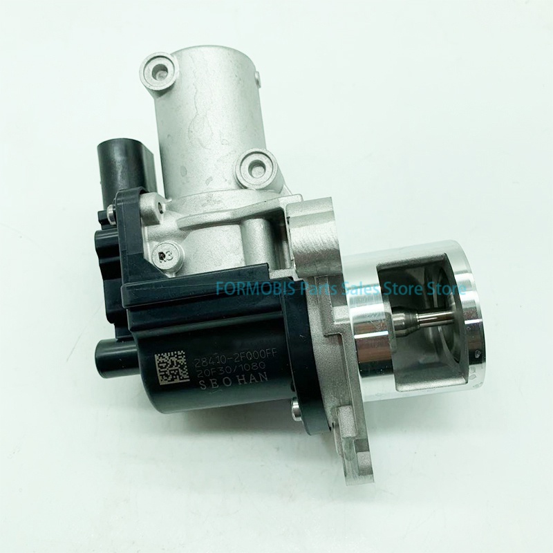 OEM 284102F000 VALVE ASSY-EGR Diesel 2.2T for Hyundai Santa Fe ix35 KIA ...