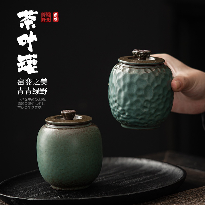 Qingye Kiln Awakening Teapot Japanese Handmade Ceramic Teapot Kung Fu ...
