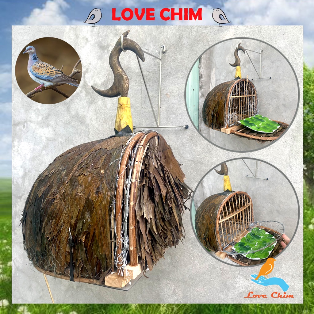 Ball cage sankar Burung Terkukur ,Burung Terkukur ,Burung Tekukur bird ...