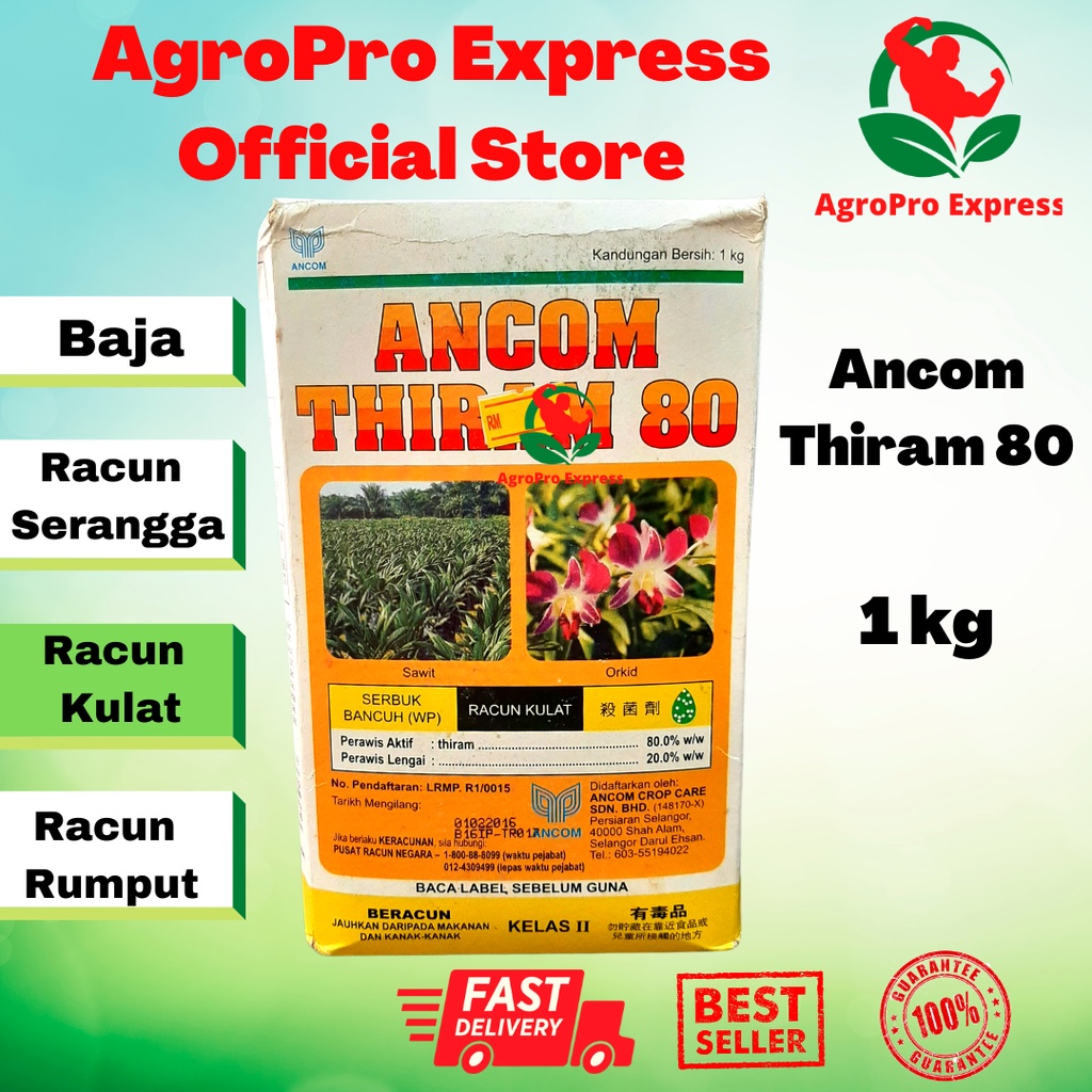 Ancom Thiram 80 1KG Racun Kulat Fungicide Thiram 80% | Shopee Malaysia