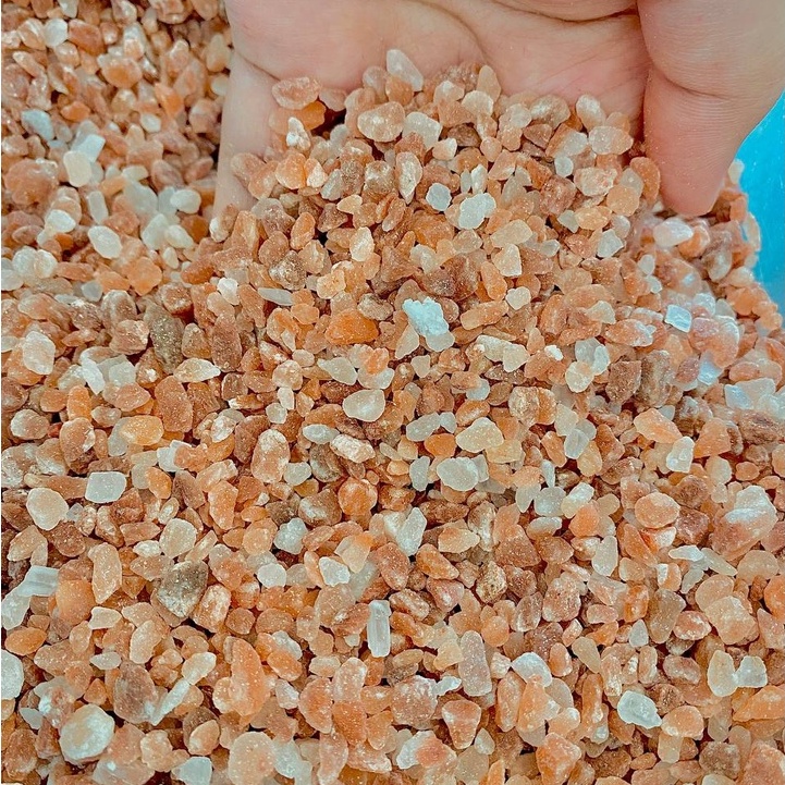 The Glazed Dry Flower For Bath & Relaxing Spa Mandi Bunga (5g) | Shopee ...