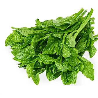 Biji benih sayur raja seeds | Shopee Malaysia