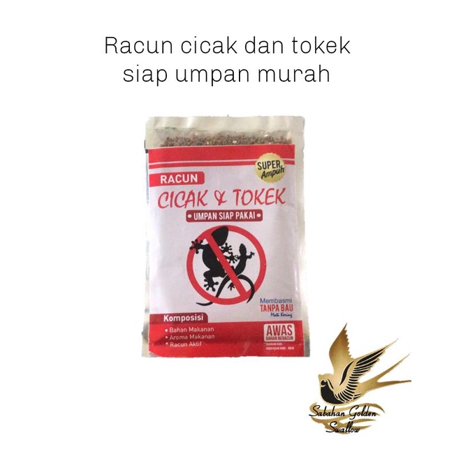 Racun cicak dan tokek siap umpan mati tanpa bau mati kering | Shopee ...