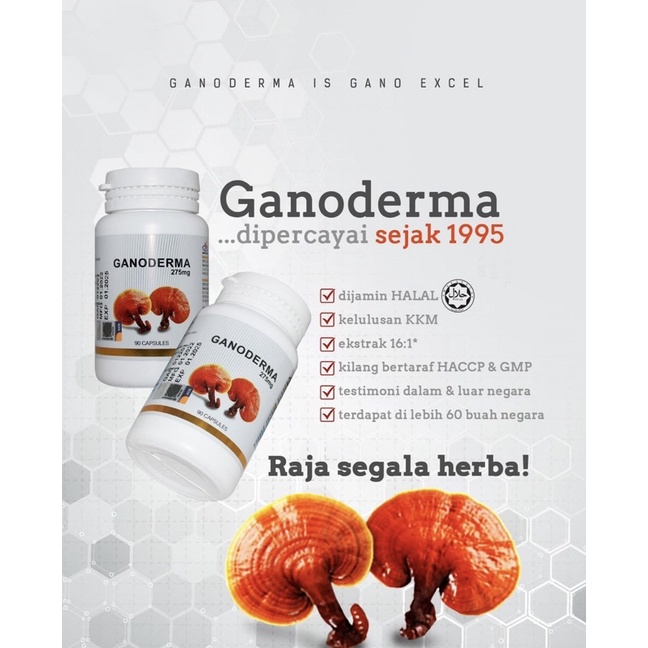 Ganoderma Gano Excel from HQ 🇲🇾 WAJAH BARU [30 Capsules/90 Capsules] | Shopee Malaysia