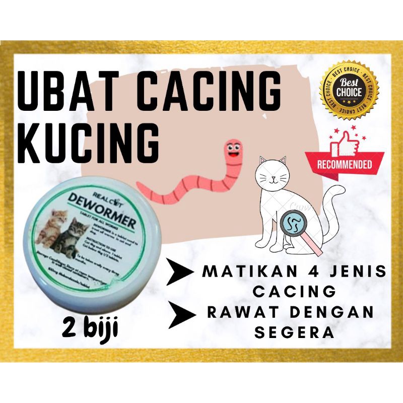 Ubat Cacing Pita Perut Buncit Cirit Birit - Tapeworm Hookworm Roundworm ...