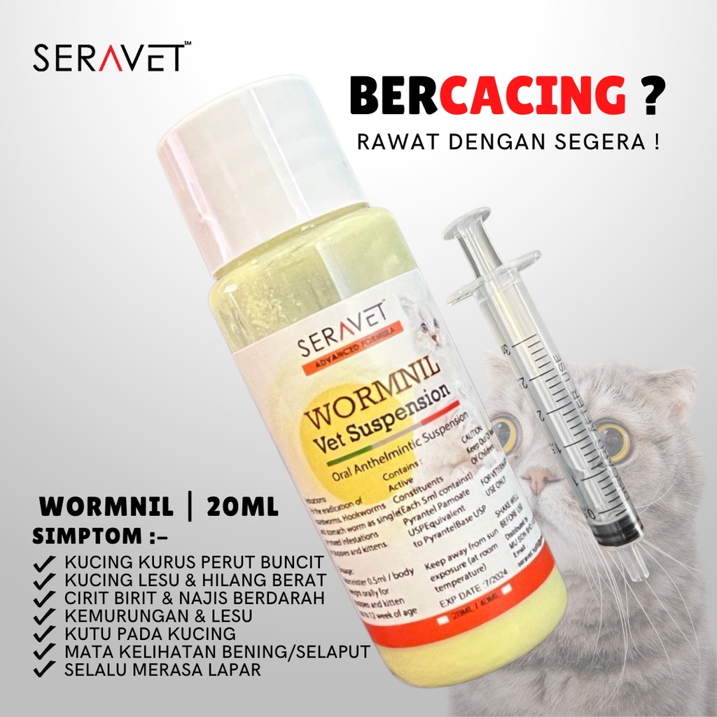 Ubat Cacing Kucing, Perut Buncit, Hilang selera Makan,Najis Berdarah ...