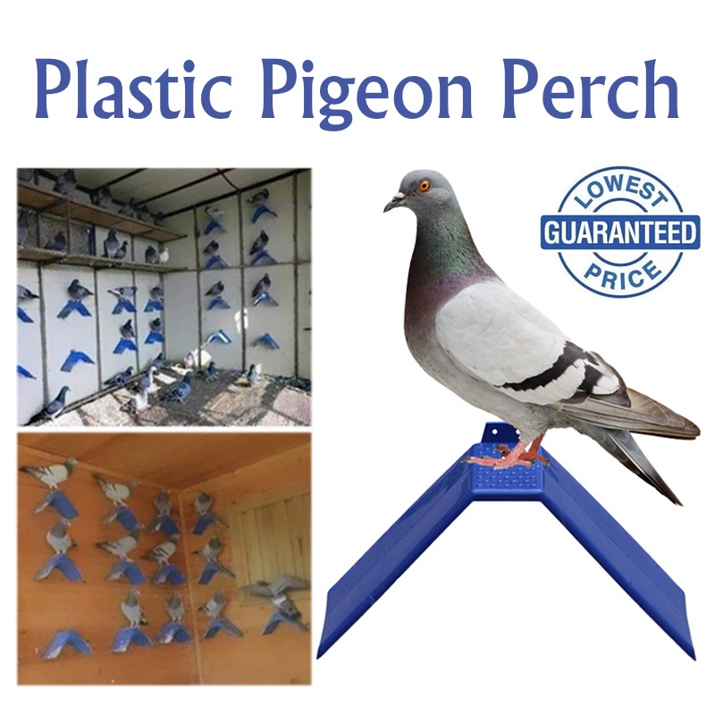1PC Pigeon Roost Perches Frame V type Dove Rest Stand Birds Frame ...