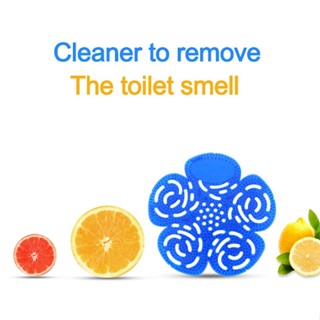 Toilet Perfume Pad Pewangi Tandas Perfume Lantai Bilik Air Campak ...