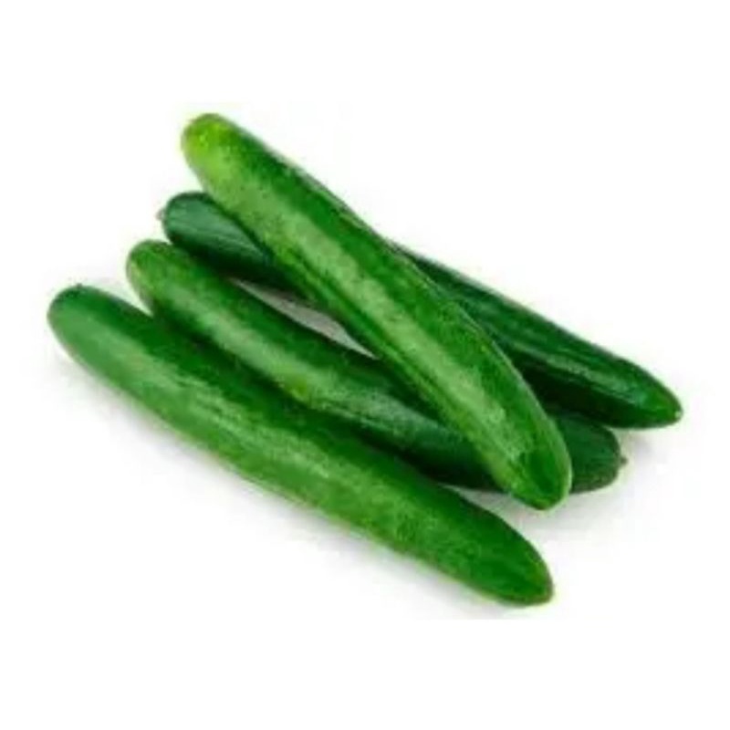 timun jepun/timun hijau/timun ulam 1pc | Shopee Malaysia