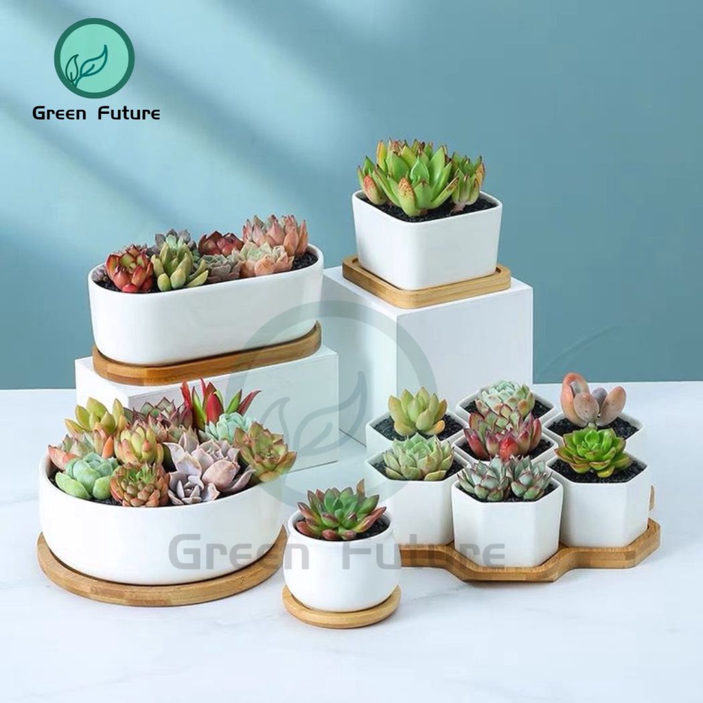 Succulent Pot Cactus Pot Ceramic Pot Zakka Minimalism Planter Pasu ...