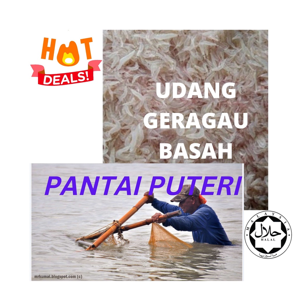 UDANG GERAGAU BASAH SEGAR 1KG UDANG GERAGAU PANTAI PUTERI | Shopee Malaysia