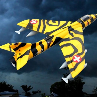 Dynam Hawker Hunter 70mm 12blades EDF Jet 6S Flaps Retracts *Ready ...