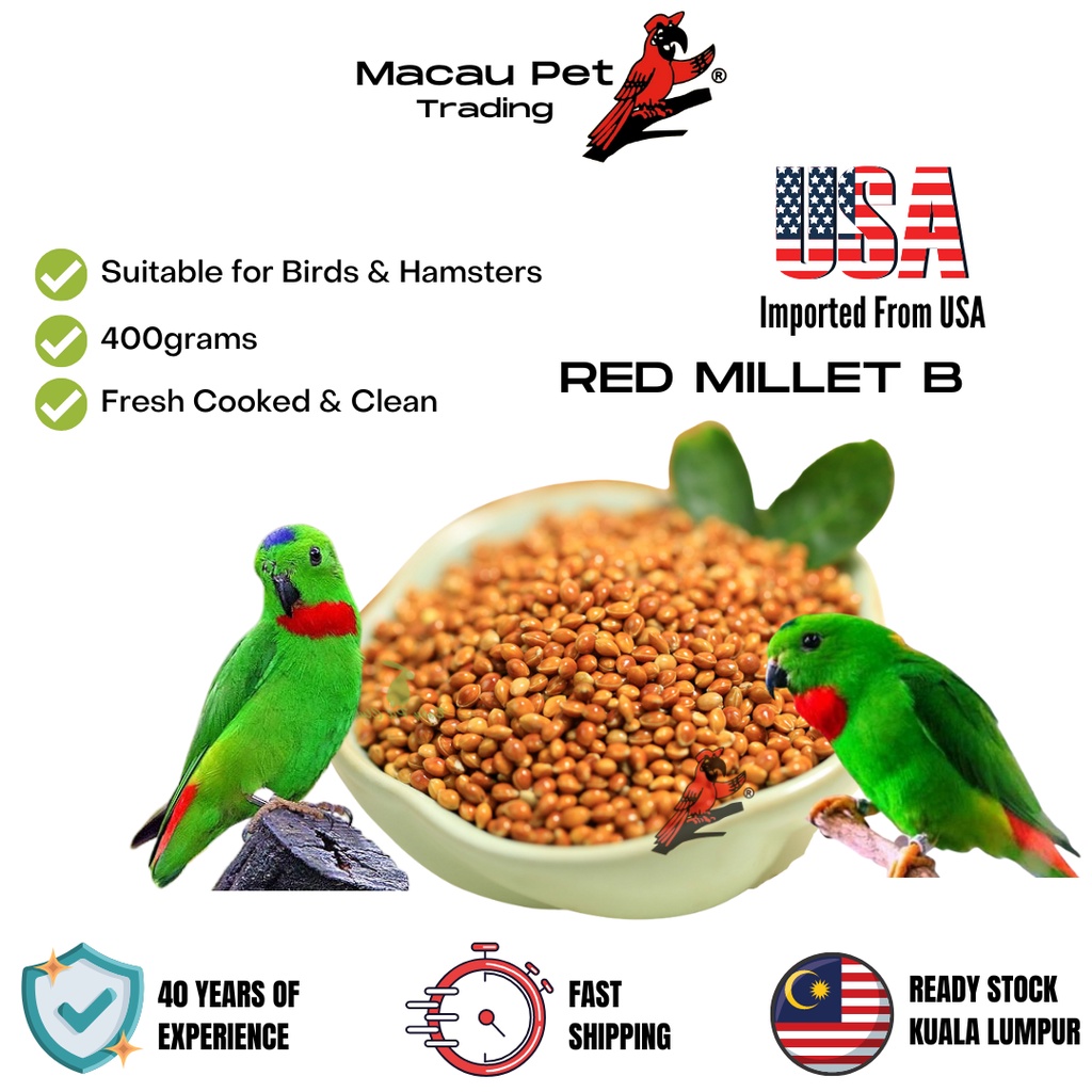 MPT Red Millet (B) USA Sekoi Merah Kambu Merah Sambau Merah Bird Food ...
