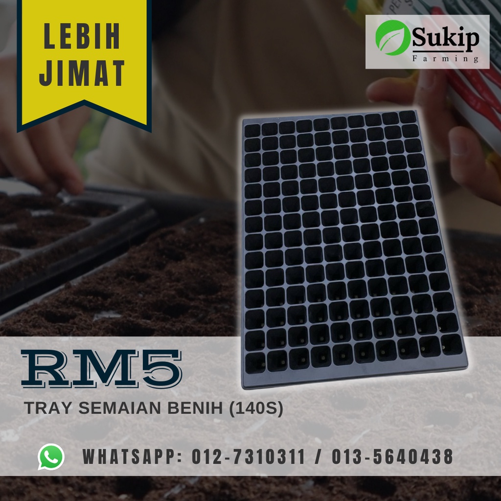 SEEDLING TRAY | TRAY SEMAIAN for Fertigasi (Fertigation) & Hidroponik ...