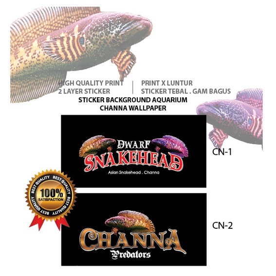 STICKER AKUARIUM CHANNA SNAKEHEAD FISH | Shopee Malaysia