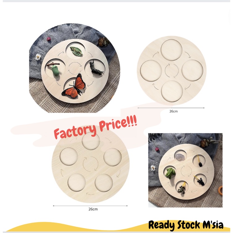 Wooden Life Cycle Board/ Montessori Board/ Teaching Tools Educational ...